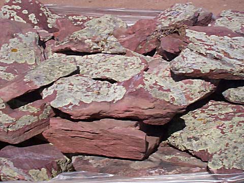 Lawn Edging in Denver